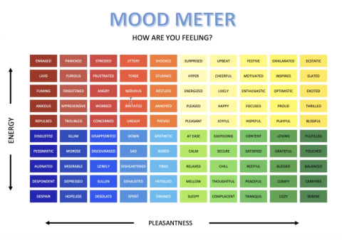 Mood Meters | Ferris Elementary School